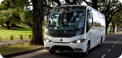 Viabus